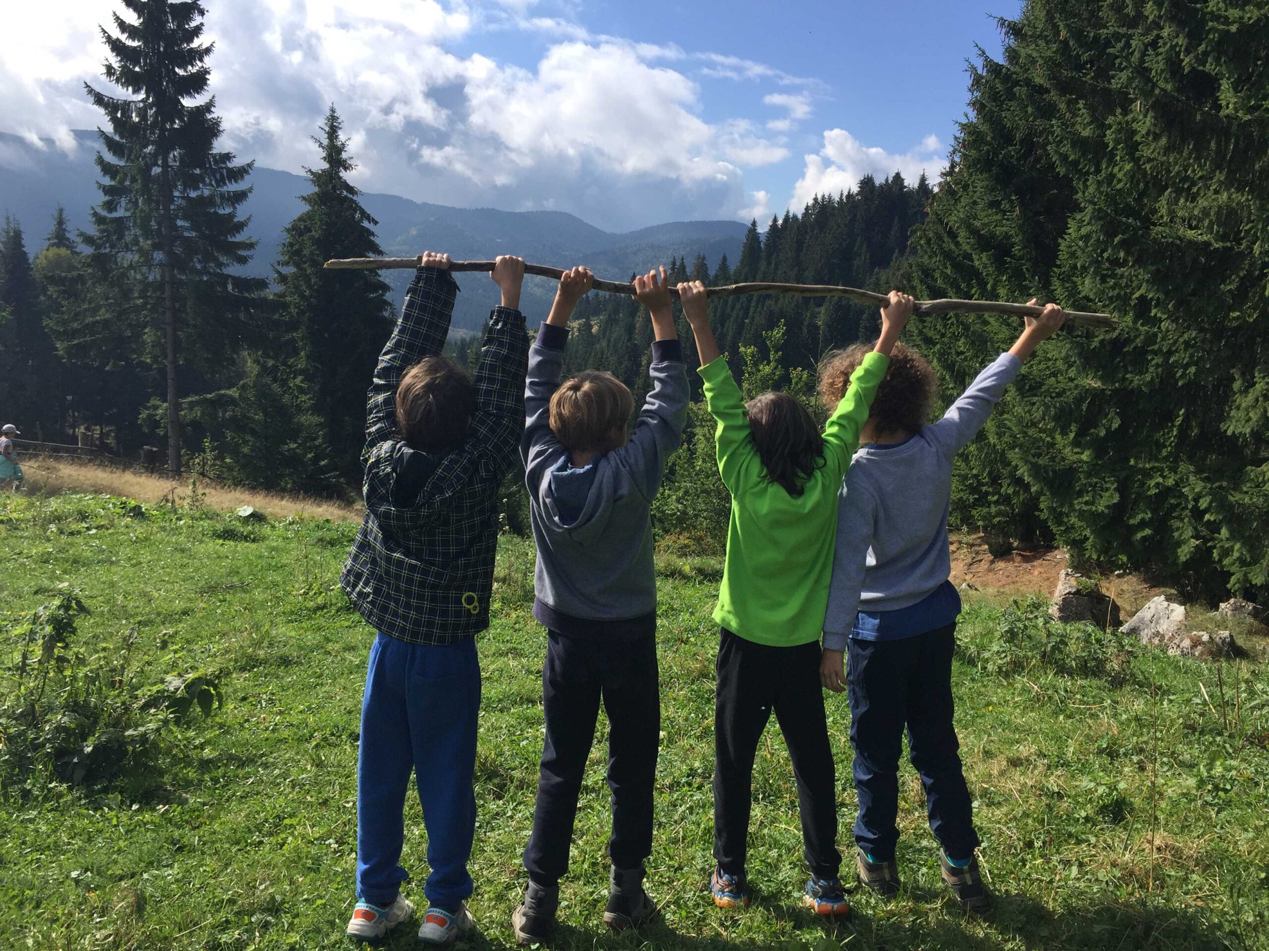 Iubește pădurea și păsările, salvează natura! - Majook