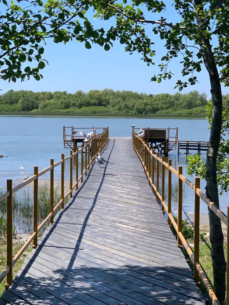 Explorand Delta Dunarii - Articol Majook